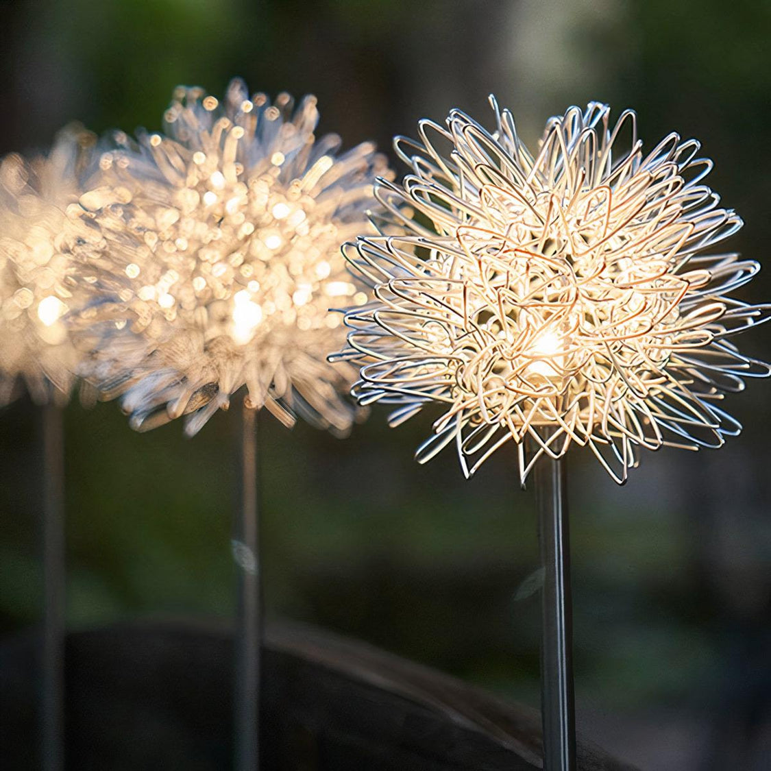 Dandelion Garden Lights, Solar-Powered – Feblilac Store